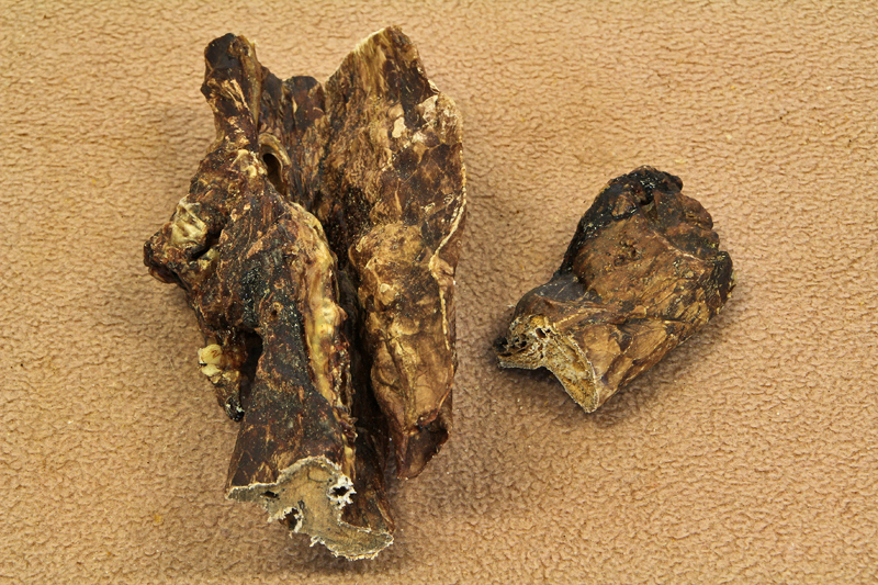 Heimtierbedarf Jahn | Shop