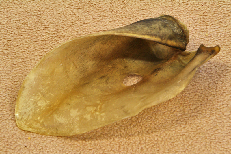 Heimtierbedarf Jahn | Shop