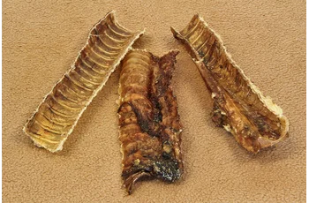 Heimtierbedarf Jahn | Shop